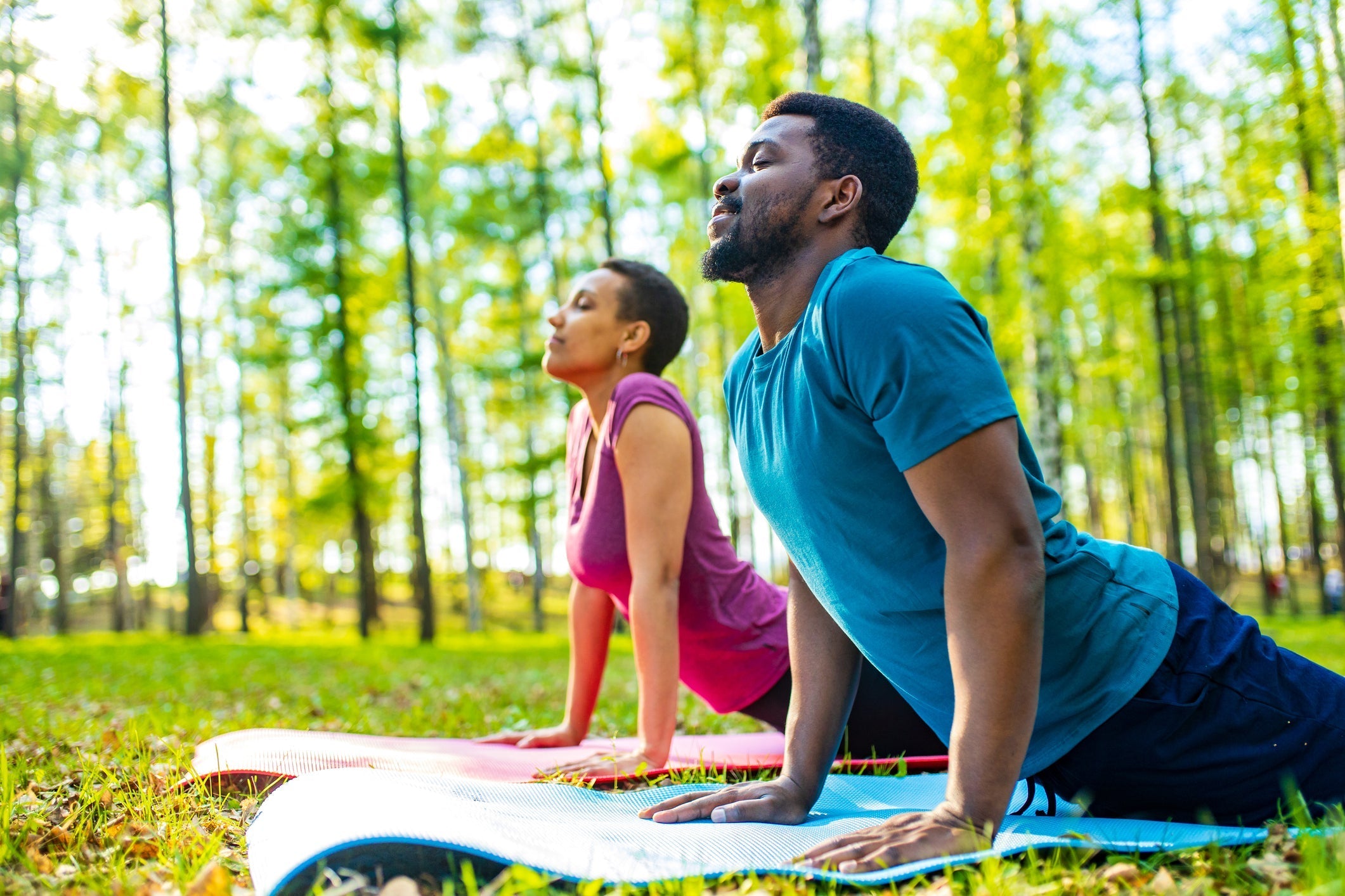 Progesterone: Key to Pain Relief & Bone Health – InterPlexus